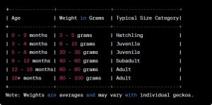 Leopard Gecko Size Weight Growth Chart - How Big Do Leopard Geckos Get ...