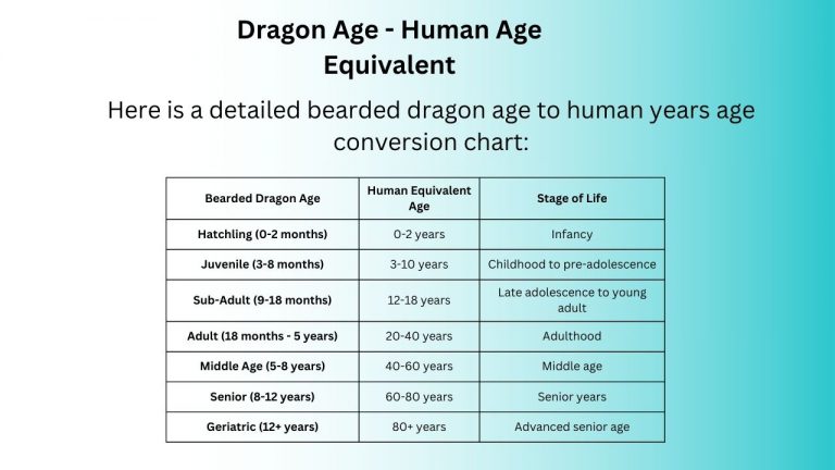 Bearded Dragon Years to Human Years Calculator (Bearded Dragon Age Calculator) - YIHY