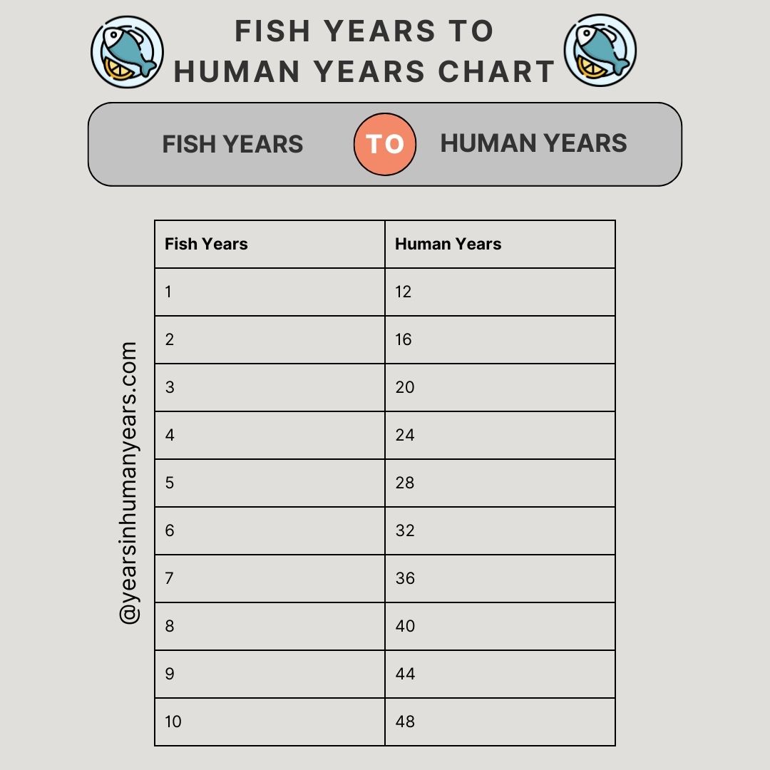 Fish Years to Human Years - Fish Age Calculator - YIHY
