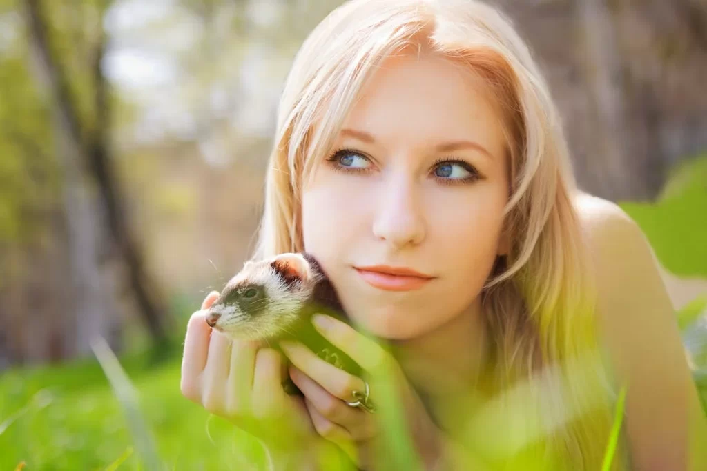 Ferret Years to Human Years - Ferret Lifespan in Human Years - YIHY