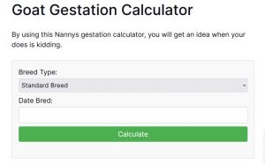 Goat Gestation Calculator - Pregnancy Calculator - YIHY