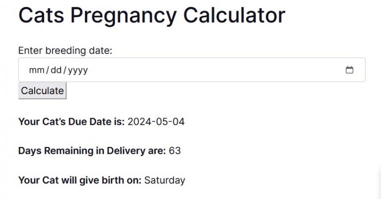 Cats Pregnancy Calculator - Vet Approved - YIHY